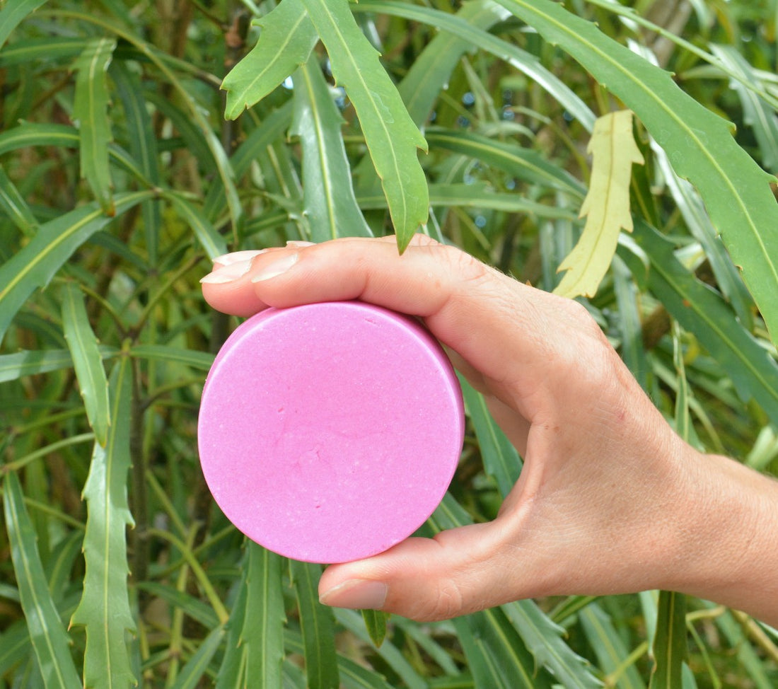Solid Shampoo Bar - New Formula – PureNature NZ