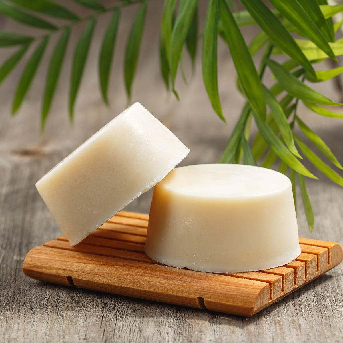 Mango Butter Lotion Bar – PureNature NZ