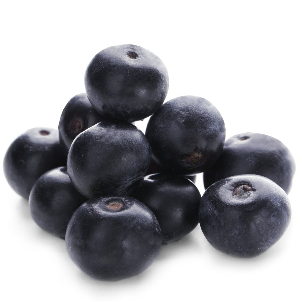 Acai Oil – 30ml – PureNature NZ