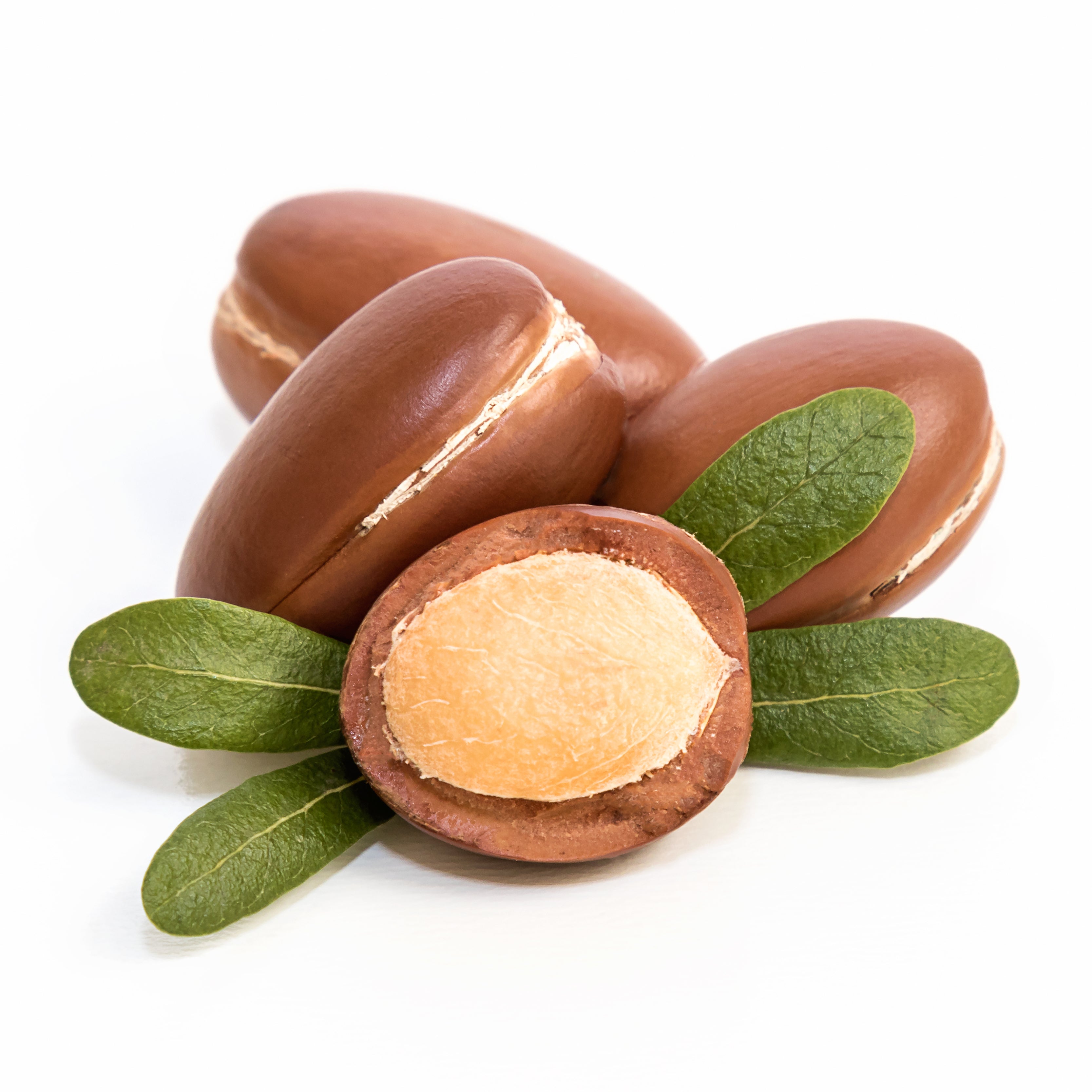 Argan Oil, Deodorised - Organic – PureNature NZ