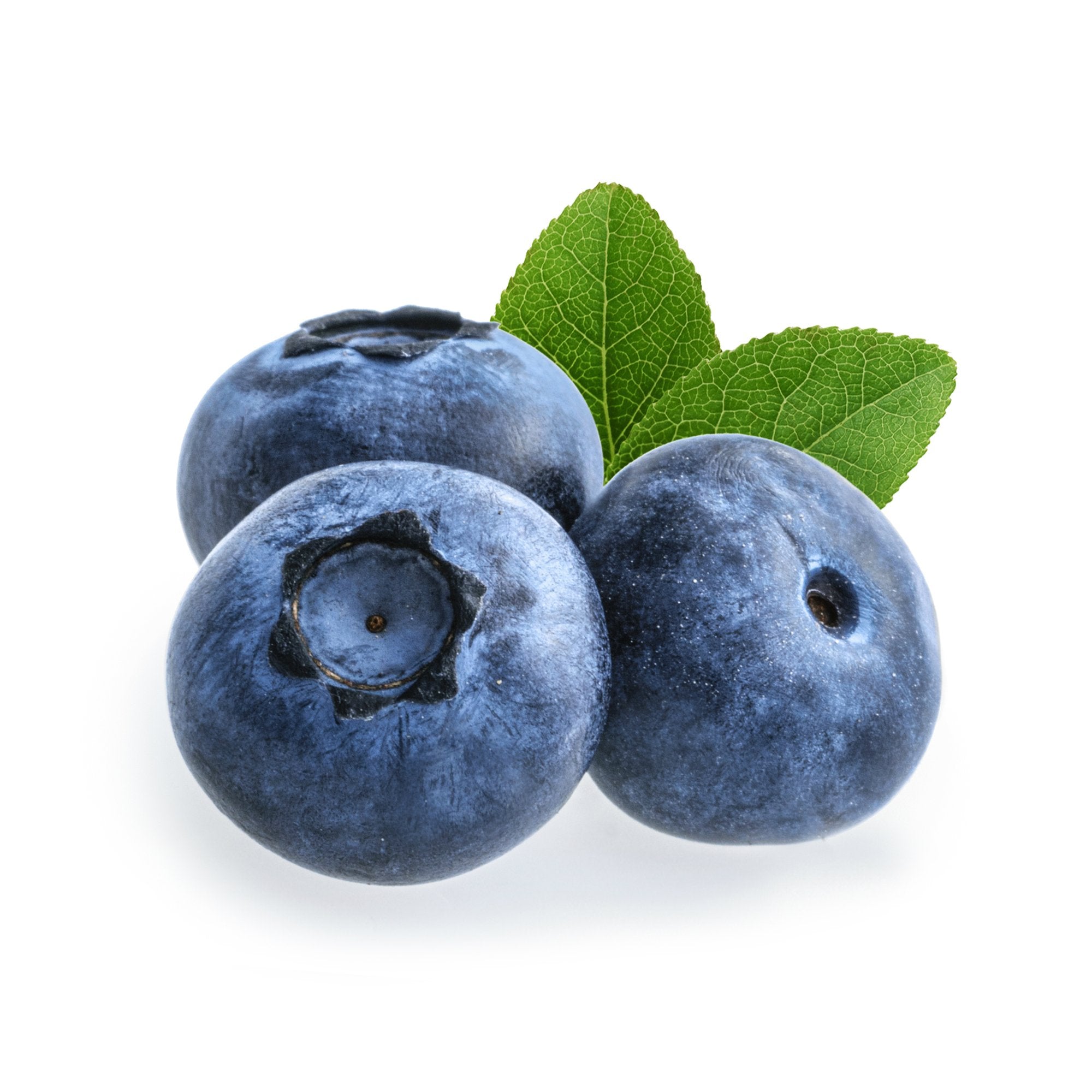 Blueberry Cellular Extract – PureNature NZ