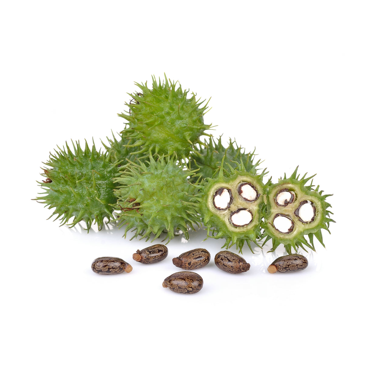 Castor Oil, Cold Pressed - Organic – PureNature NZ