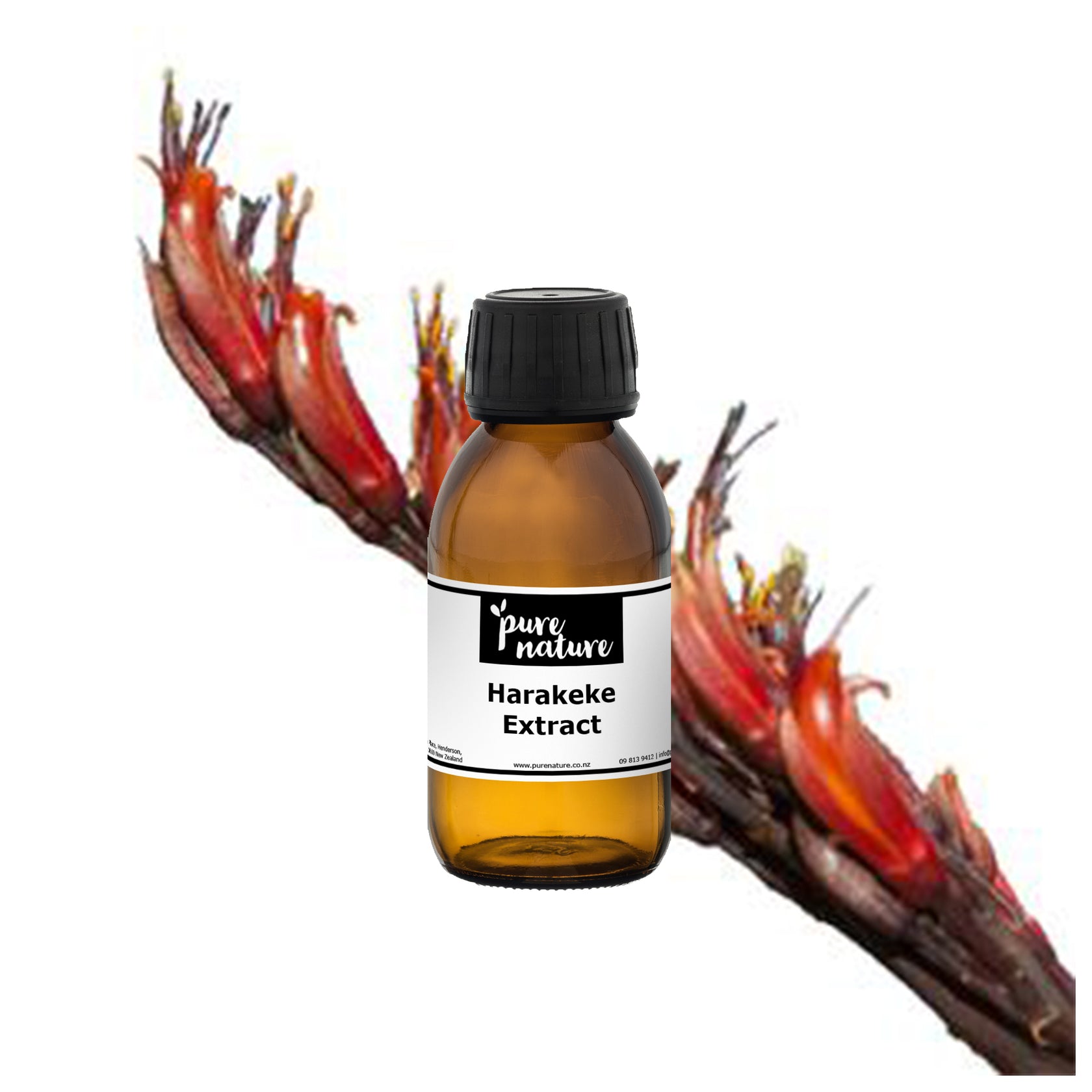 PlantæDerMX® Harakeke Leaf Extract – 50g – PureNature NZ