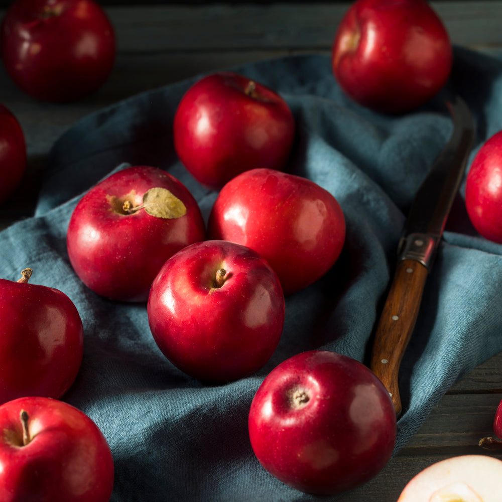 Macintosh Apple Fragrance – PureNature NZ