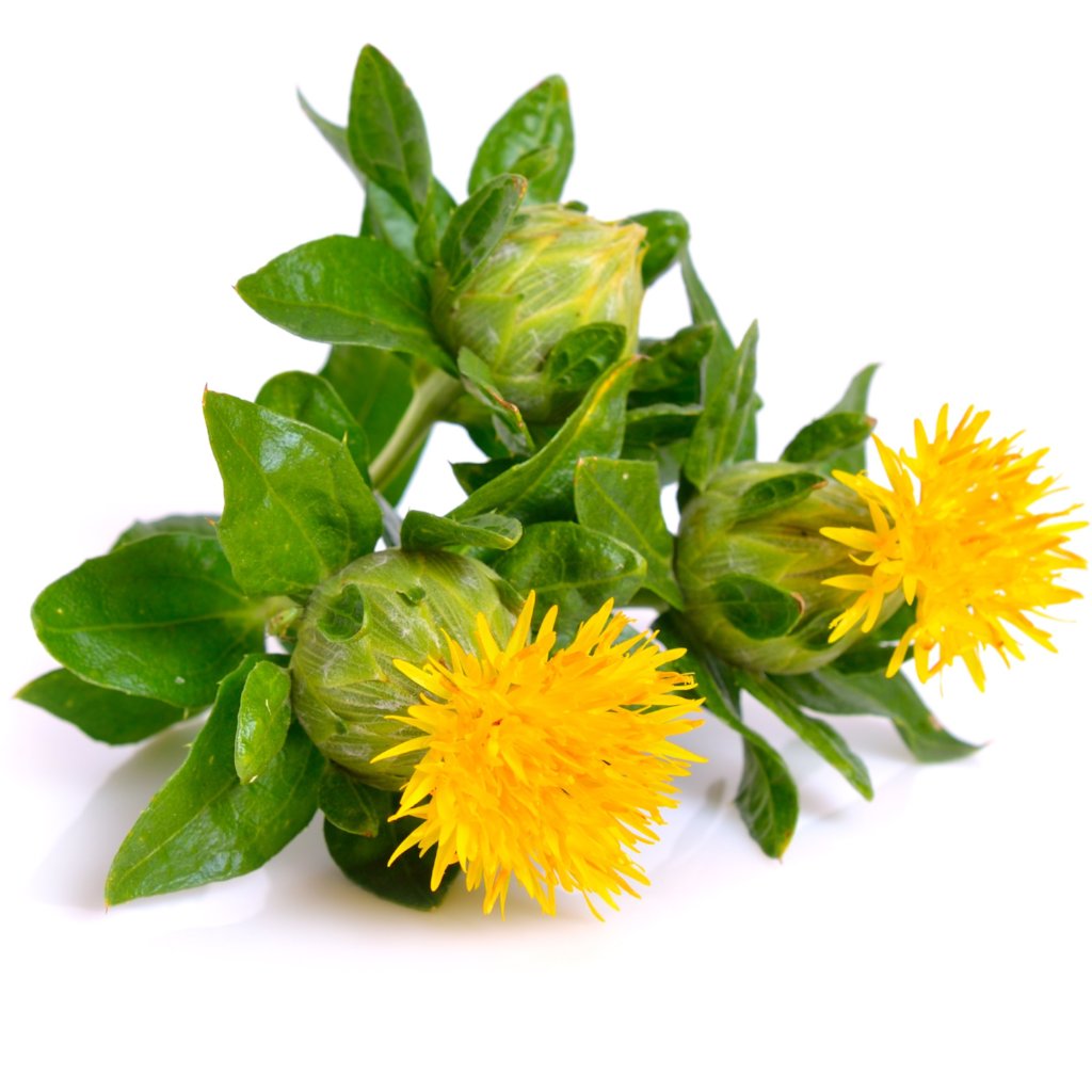 Safflower Oil - Refined – PureNature NZ